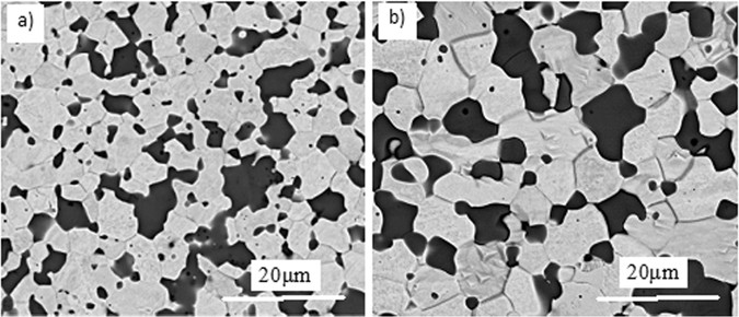 Evolution of Phase, Microstructure and ZrC Lattice Parameter in Solid ...