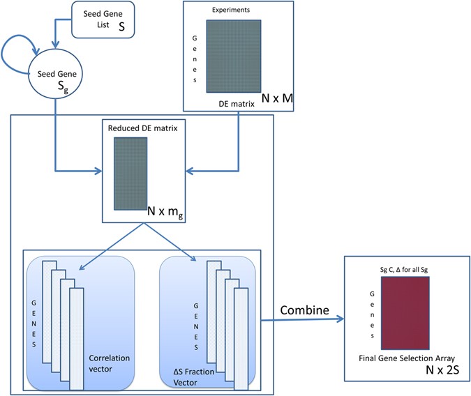 Use of Microarray Datasets to generate Caco-2-dedicated Networks and to ...
