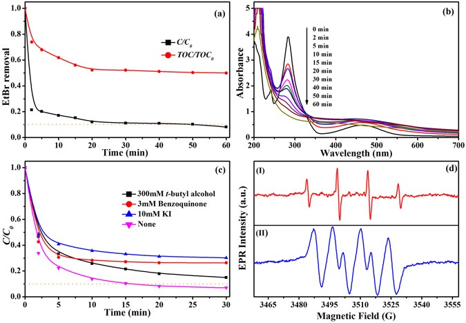 Magnetic Activated-ATP@Fe 3 O 4 Nanocomposite as an Efficient Fenton ...