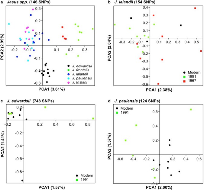 Efficiency of ddRAD target enriched sequencing across spiny rock ...