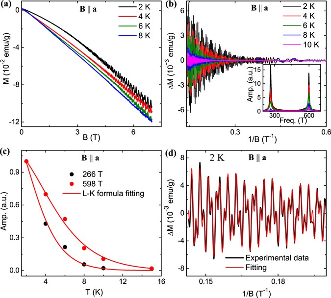 Fermi surface topology and signature of surface Dirac nodes in LaBi ...