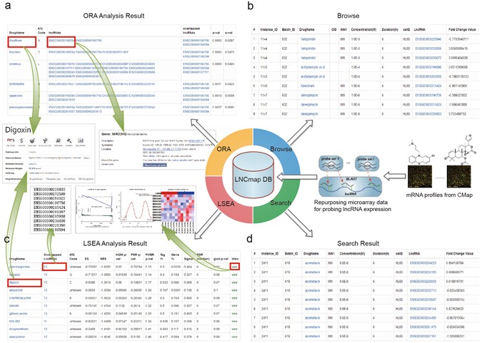 The LncRNA Connectivity Map: Using LncRNA Signatures to Connect Small ...