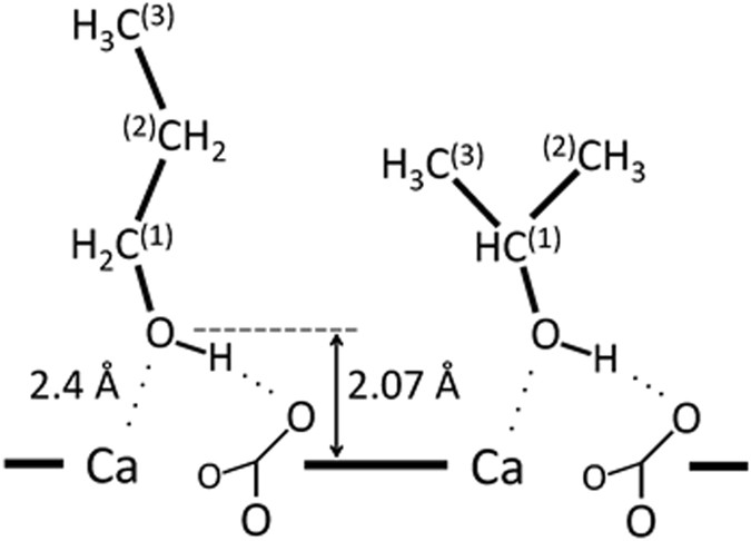 Interactions of the Calcite {10.4} Surface with Organic Compounds ...