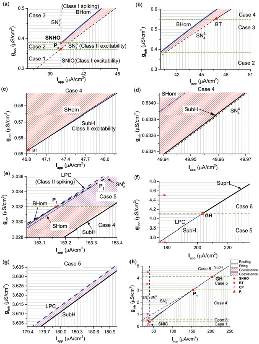 Transitions between classes of neuronal excitability and bifurcations ...
