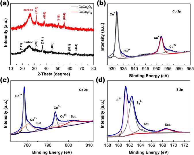 Construction of porous CuCo 2 S 4 nanorod arrays via anion exchange for ...