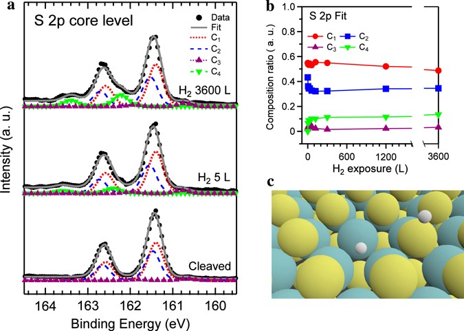 Hydrogen physisorption based on the dissociative hydrogen chemisorption at the sulphur vacancy ...