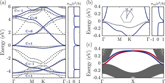 Boron Triangular Kagome Lattice with Half-Metallic Ferromagnetism ...