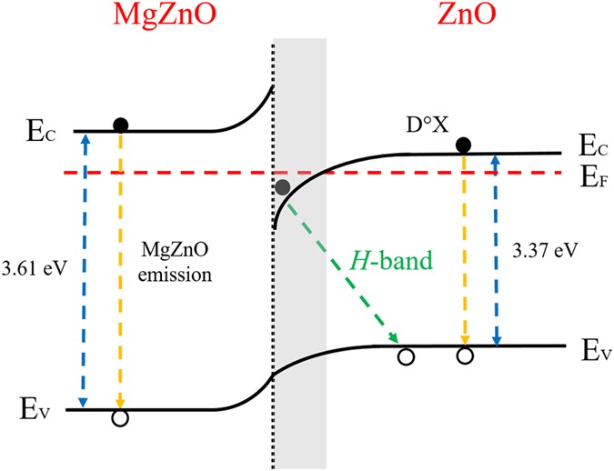 Radiative recombination of confined electrons at the MgZnO/ZnO heterojunction interface ...