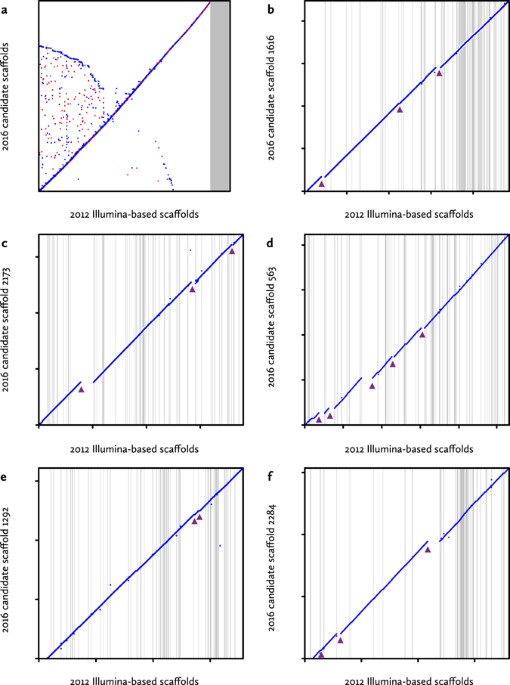 Rapid de novo assembly of the European eel genome from nanopore ...