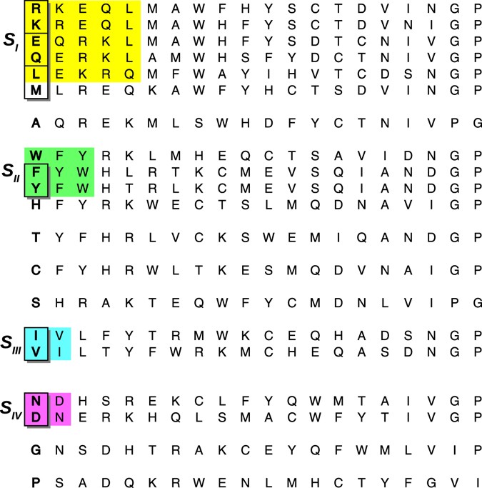 Mass & secondary structure propensity of amino acids explain their ...