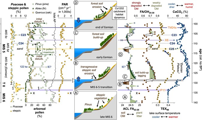 Linear and non-linear responses of vegetation and soils to glacial ...