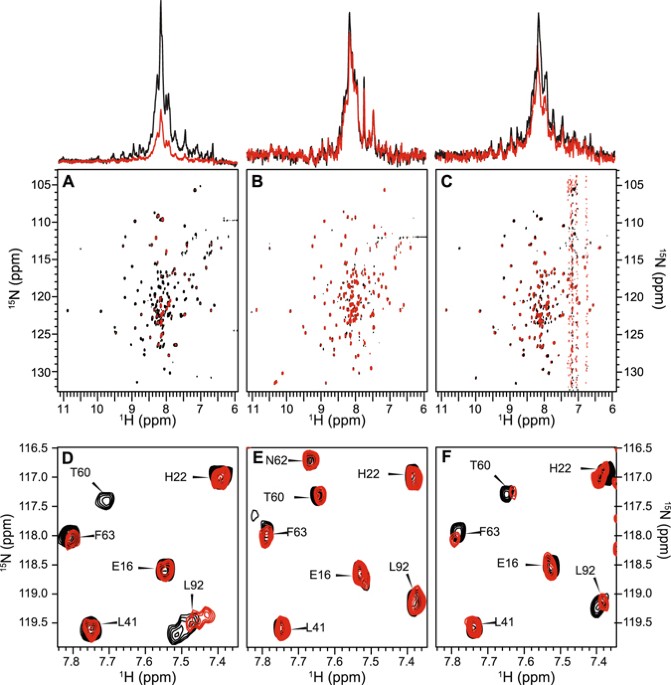 Kinetic and Structural Characterization of the Effects of Membrane on ...