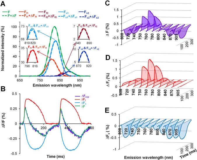 Spectral characteristics of voltage-sensitive indocyanine green ...