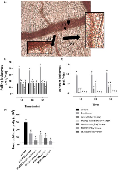 Stingray venom activates IL-33 producing cardiomyocytes, but not mast ...