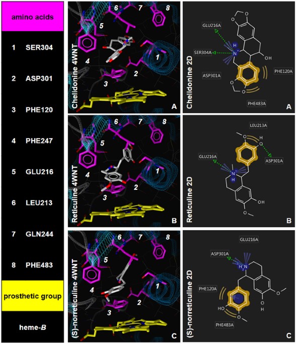 A combinatorial approach for the discovery of cytochrome P450 2D6 ...