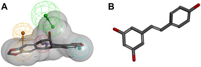 A combinatorial approach for the discovery of cytochrome P450 2D6 ...
