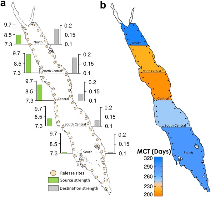 Sensing coral reef connectivity pathways from space | Scientific Reports