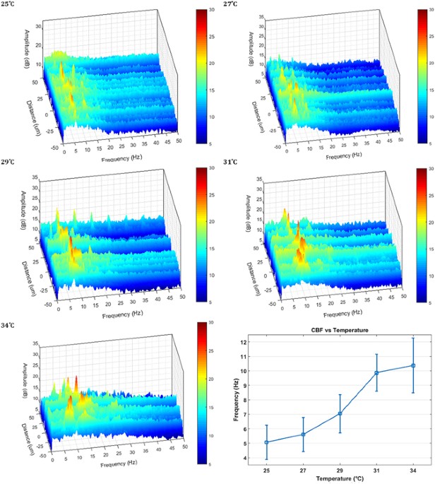Visualization and Detection of Ciliary Beating Pattern and Frequency in the Upper Airway using ...