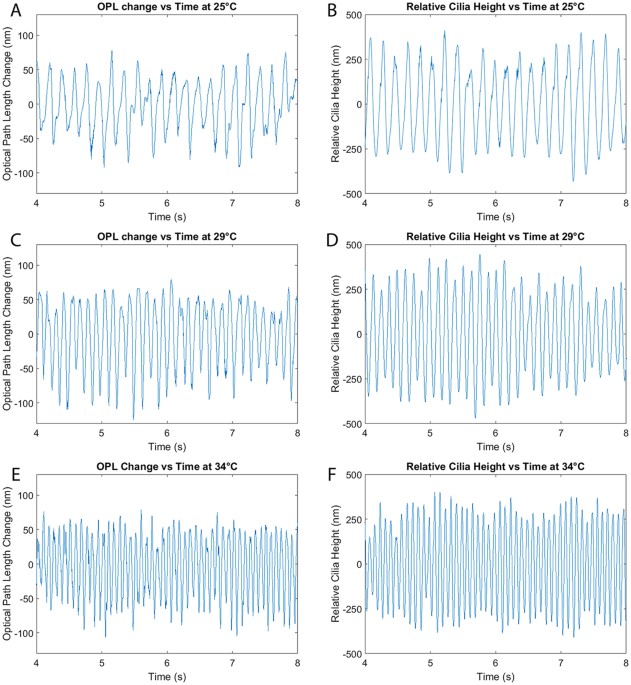 Visualization and Detection of Ciliary Beating Pattern and Frequency in the Upper Airway using ...