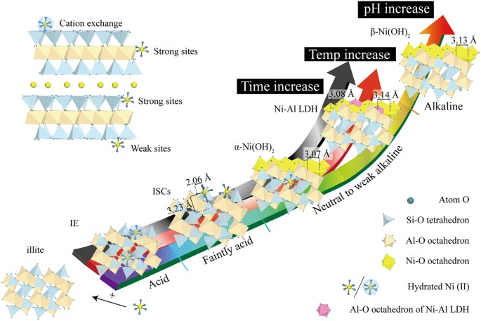 Exploring the Sorption Mechanism of Ni(II) on Illite: Batch Sorption ...