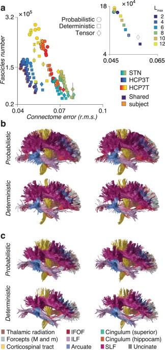 Multidimensional encoding of brain connectomes | Scientific Reports