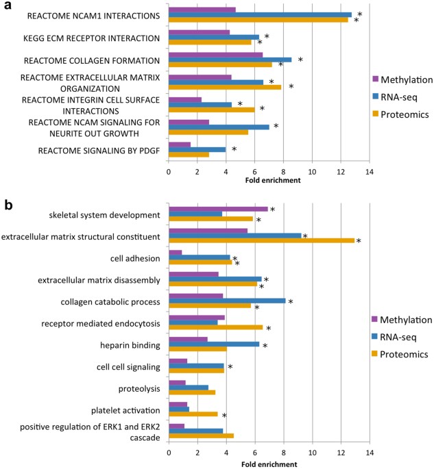 Integrative epigenomics, transcriptomics and proteomics of patient ...