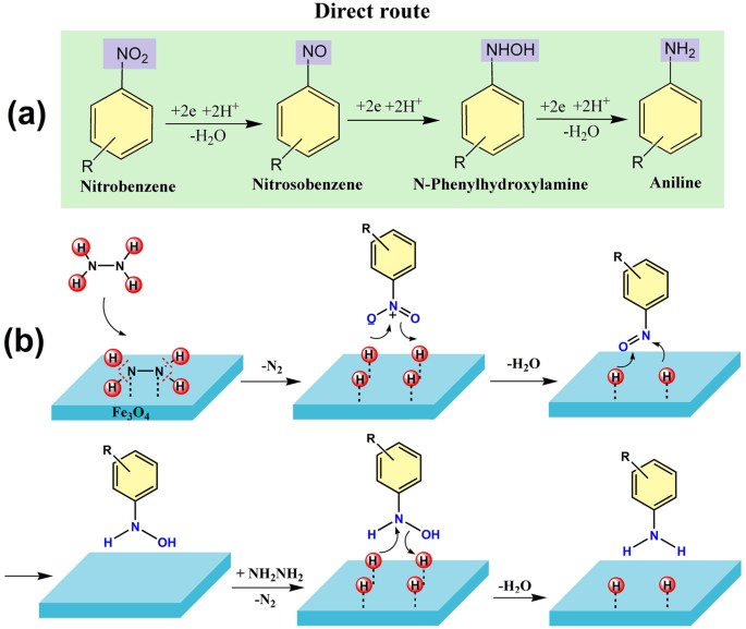 Synthesis of flower-like magnetite nanoassembly: Application in the ...