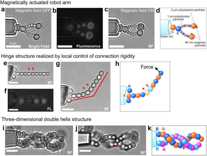 Assembly of a functional and responsive microstructure by heat bonding ...