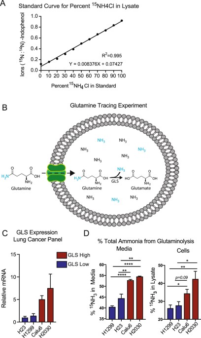 An LC-MS Approach to Quantitative Measurement of Ammonia Isotopologues ...