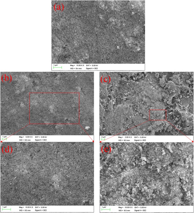 Durable superhydrophobic surfaces made by intensely connecting a ...