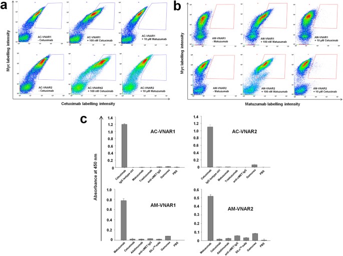 Semi-synthetic vNAR libraries screened against therapeutic antibodies ...