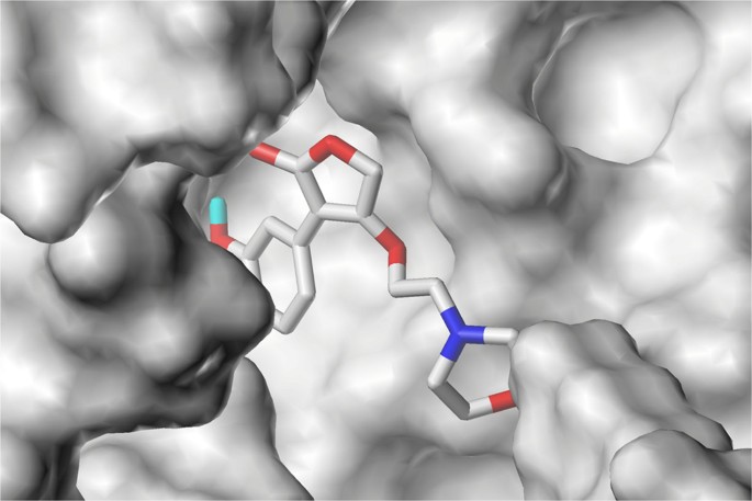New molecular insights into the tyrosyl-tRNA synthase inhibitors: CoMFA ...