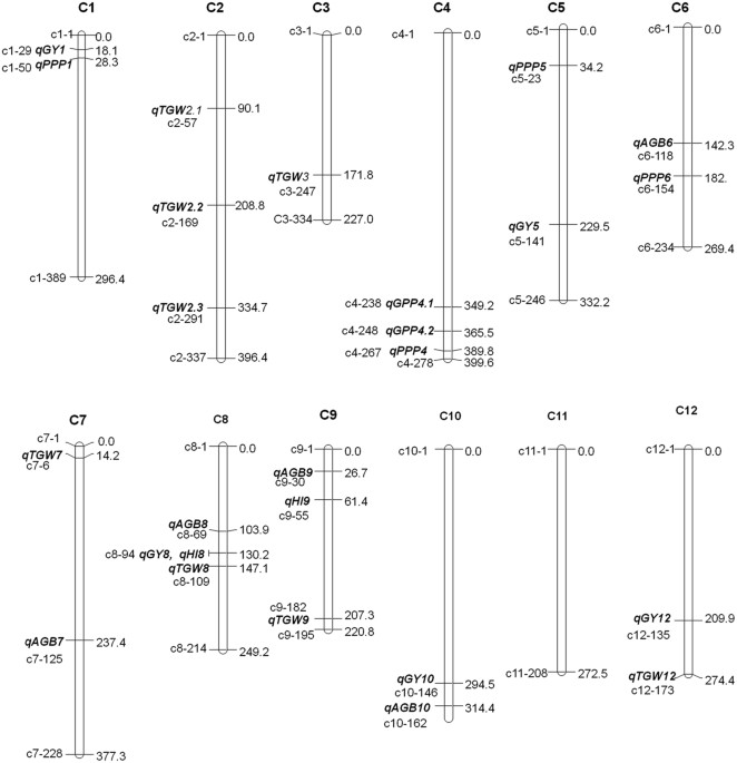 QTL mapping using an ultra-high-density SNP map reveals a major locus ...