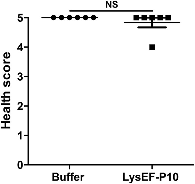 Endolysin LysEF-P10 shows potential as an alternative treatment ...