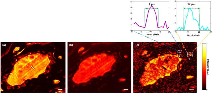 Scatter-plate microscope for lensless microscopy with diffraction ...