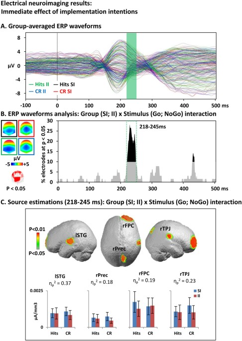 Spatiotemporal brain dynamics supporting the immediate automatization ...