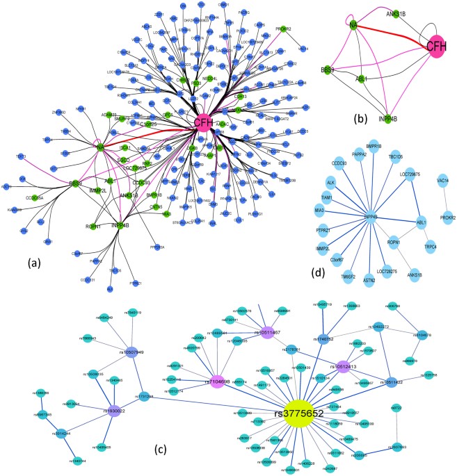 Niche harmony search algorithm for detecting complex disease associated ...