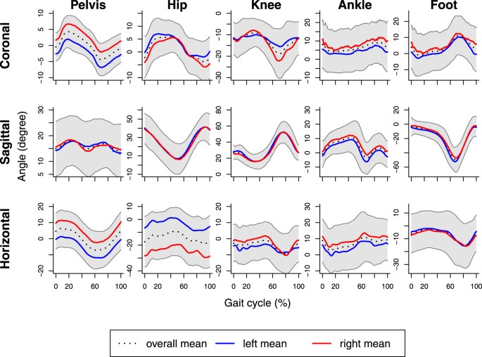 Testing Gait with Ankle-Foot Orthoses in Children with Cerebral Palsy ...