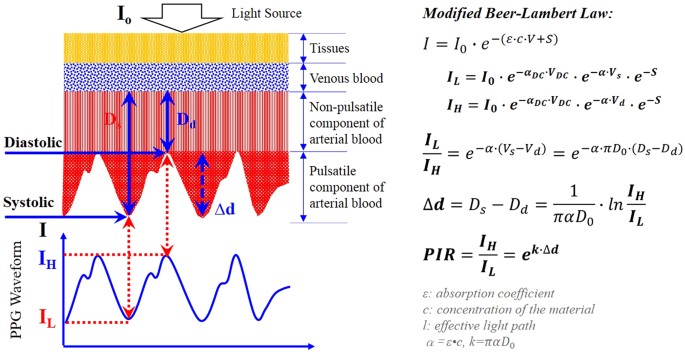 Pulse Transit Time Based Continuous Cuffless Blood Pressure Estimation ...