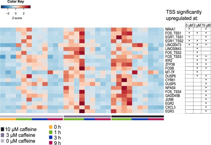 Acute doses of caffeine shift nervous system cell expression profiles ...