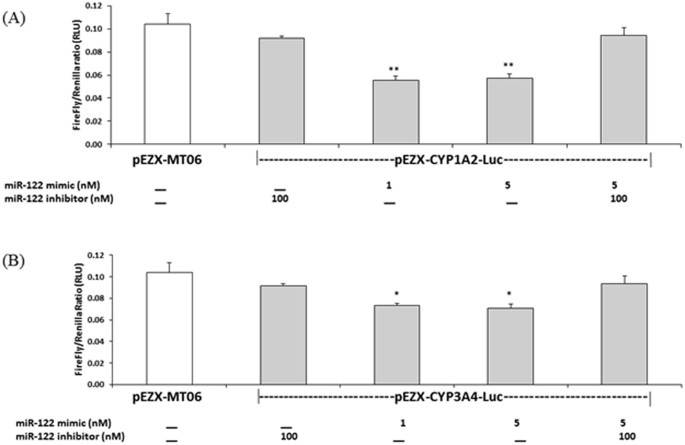 MicroRNA regulation of CYP 1A2, CYP3A4 and CYP2E1 expression in ...