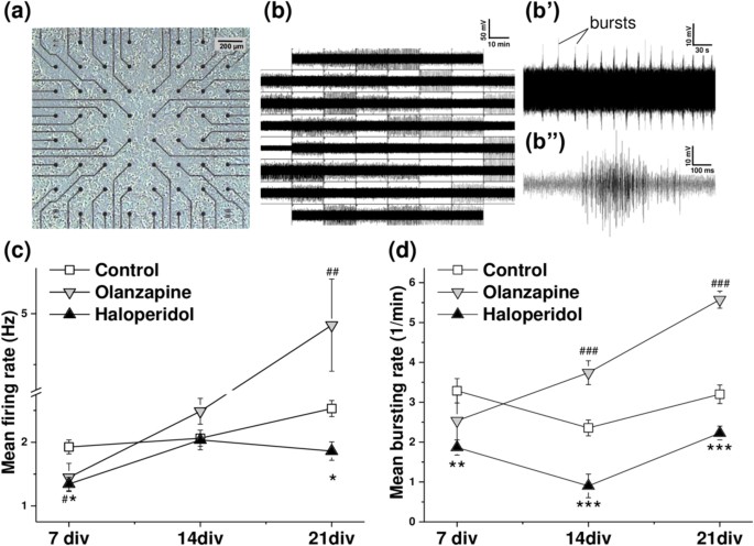 The antipsychotic drugs olanzapine and haloperidol modify network ...