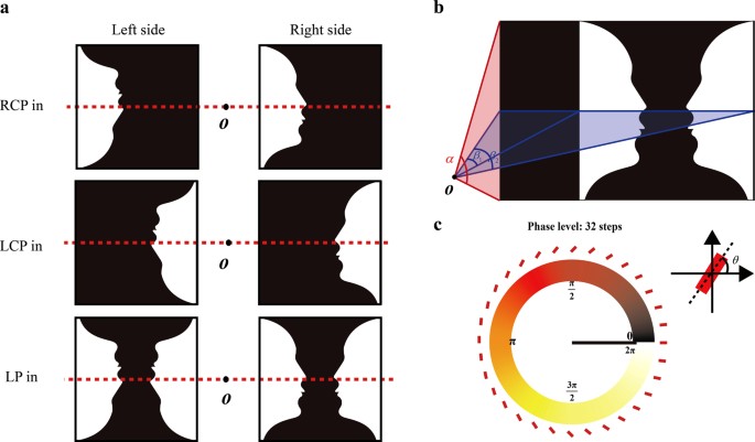 Geometric Phase Generated Optical Illusion | Scientific Reports