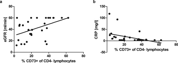 Changes in CD73, CD39 and CD26 expression on T-lymphocytes of ANCA ...