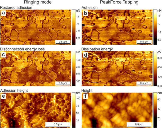 Nanoscale compositional mapping of cells, tissues, and polymers with ...
