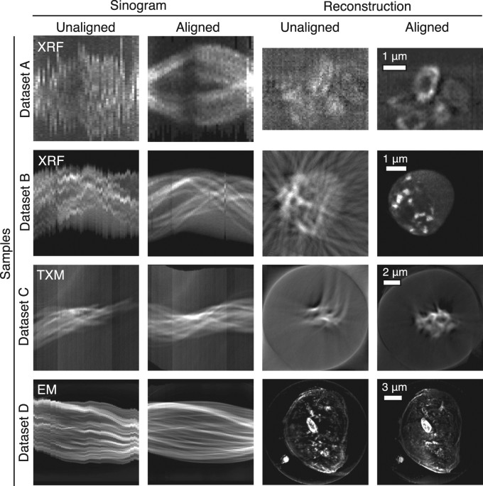 Rapid alignment of nanotomography data using joint iterative ...