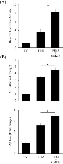 Phosphorylation of FE65 at threonine 579 by GSK3β stimulates amyloid ...