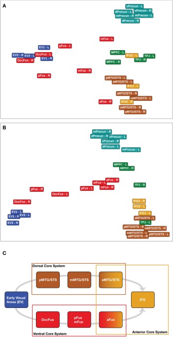The neural representation of personally familiar and unfamiliar faces ...