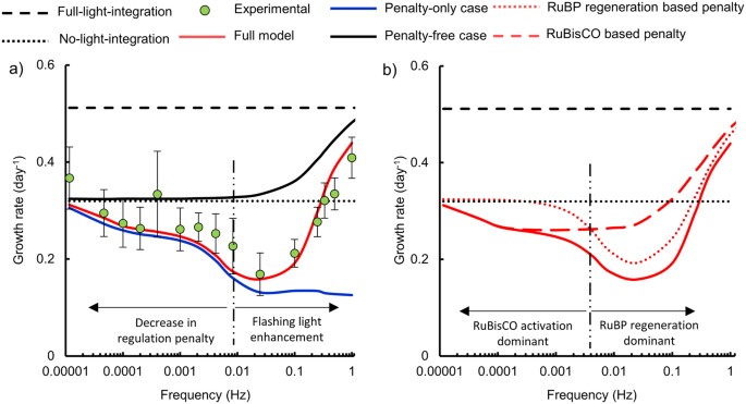 A penalty on photosynthetic growth in fluctuating light | Scientific ...