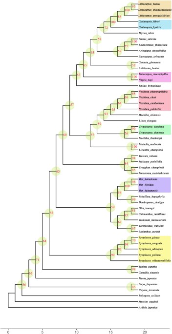 DNA barcoding analysis and phylogenetic relationships of tree species in tropical cloud forests ...